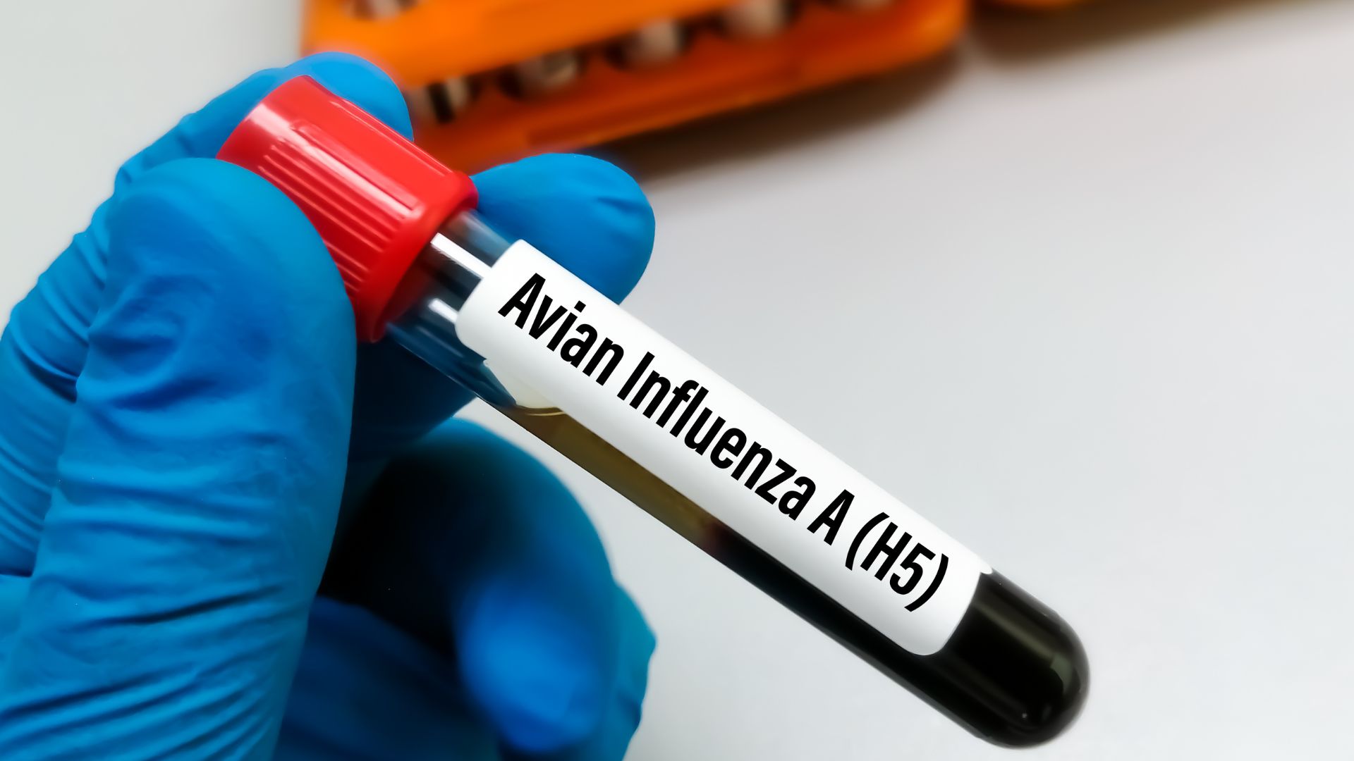 Unimed Ceará – Aqui tem cuidado